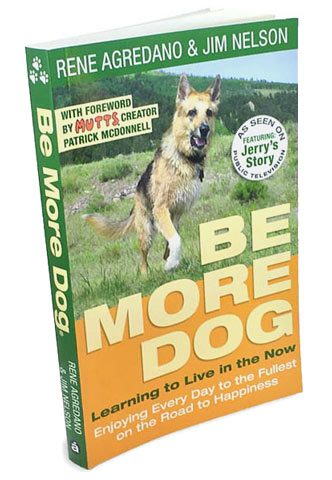 Be More Dog Stickers and Gifts inspired by the Book Be More Dog