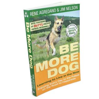 Be More Dog on Pet Pals TV! – Be More Dog
