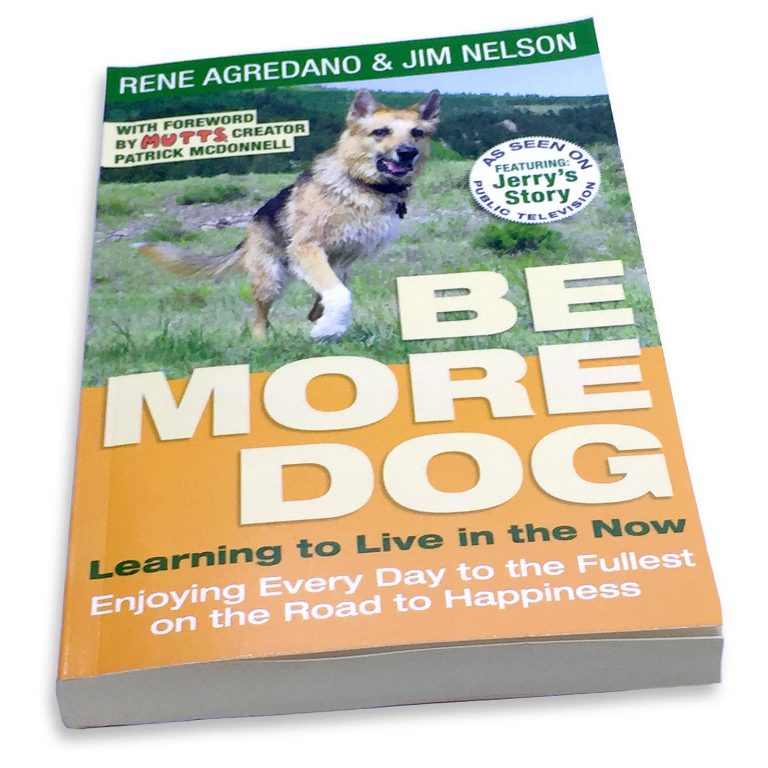 Official Be More Dog Press Release Announcement