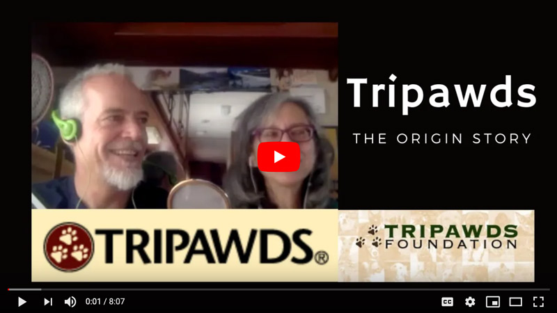 The Tripawds Origin Story with Dr. T. on The Collaborative Vet Podcast