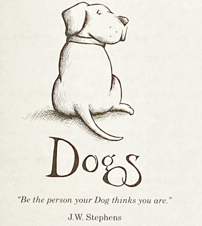 Find Wonder in the Ordinary - Much More than a Mere Book Review